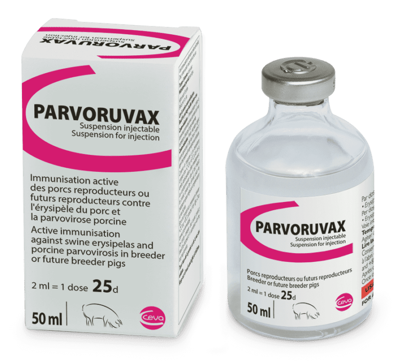 Parvoruvax - Ceva Swine