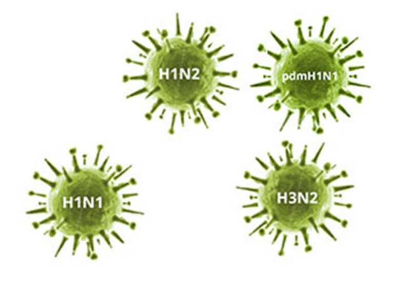 Swine Influenza - Ceva Swine