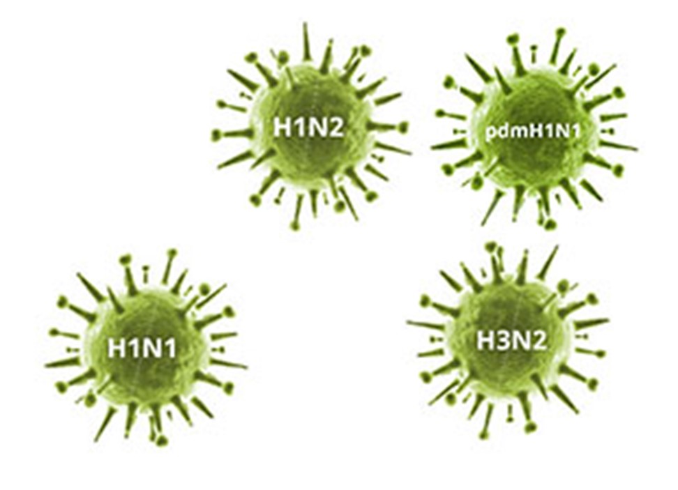 Swine Influenza - Ceva Swine